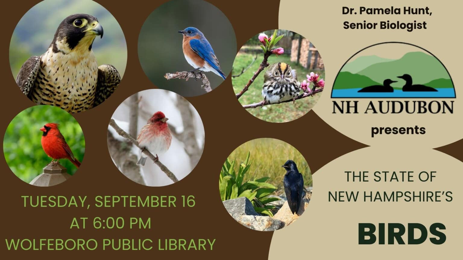 Wolfeboro Public Library