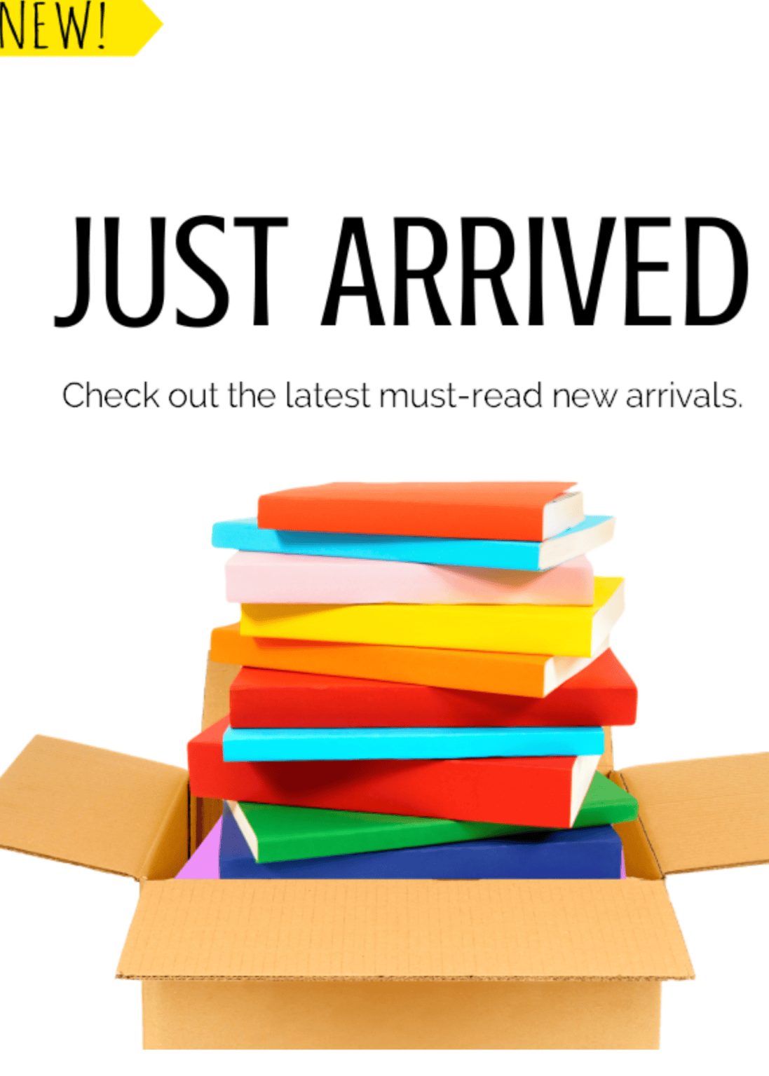 What's New in Our Collection | Wolfeboro Public Library